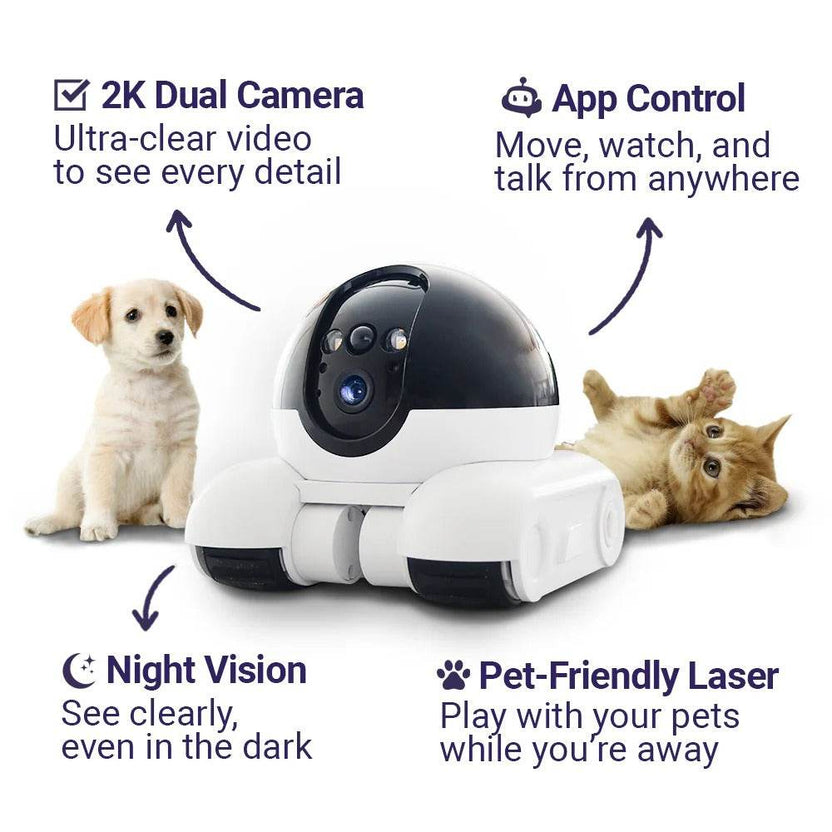 VOX Mini Pet Bot | HD Smart Robot Camera With App Voice Control & Night ...